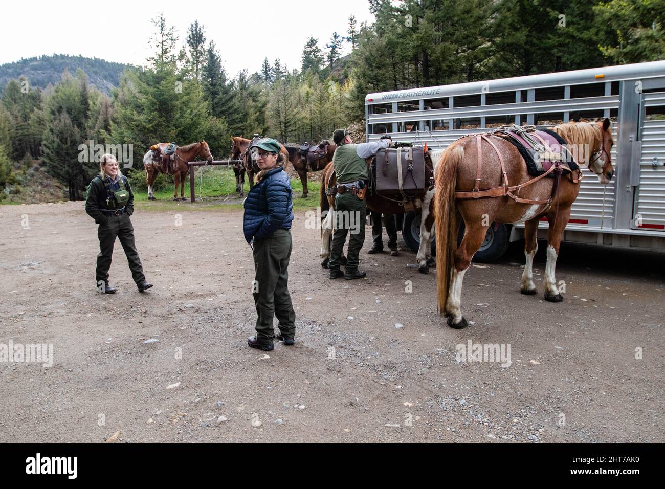 Yellowstone park rangers -Fotos und -Bildmaterial in hoher Auflösung ...
