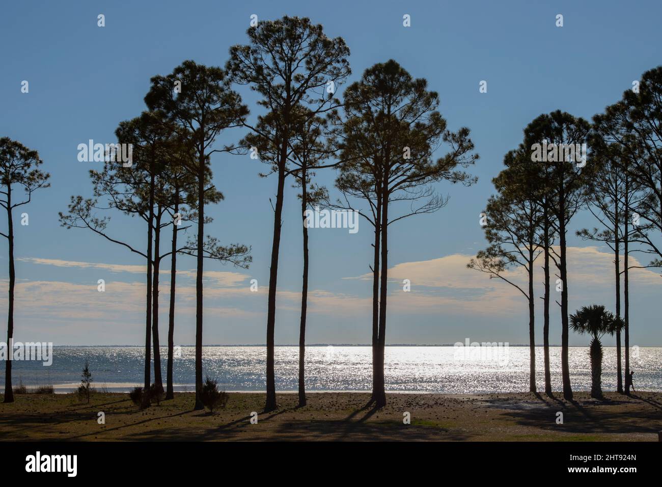 George core park -Fotos und -Bildmaterial in hoher Auflösung – Alamy