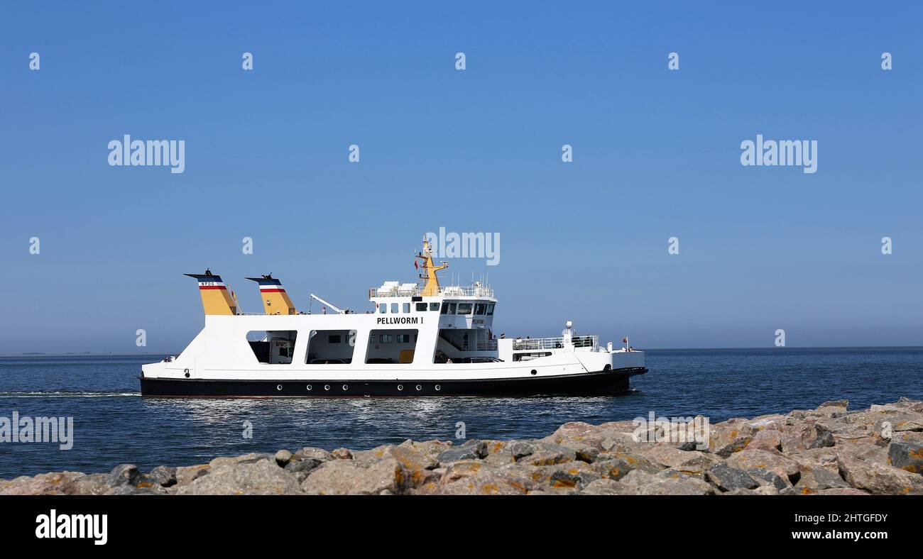 Pellwurm i -Fotos und -Bildmaterial in hoher Auflösung – Alamy