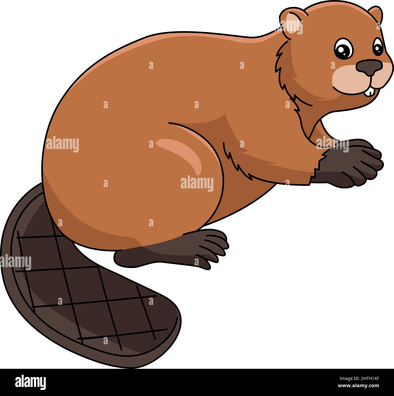 Cartoon biber Stock-Vektorgrafiken kaufen - Alamy