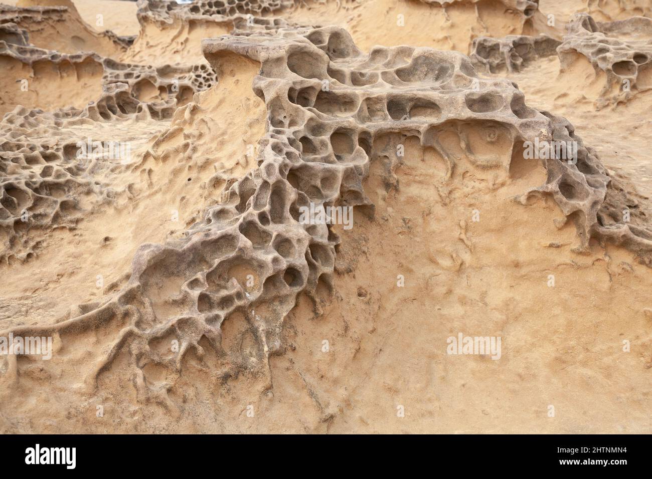 Honeycomb rocks -Fotos und -Bildmaterial in hoher Auflösung – Alamy
