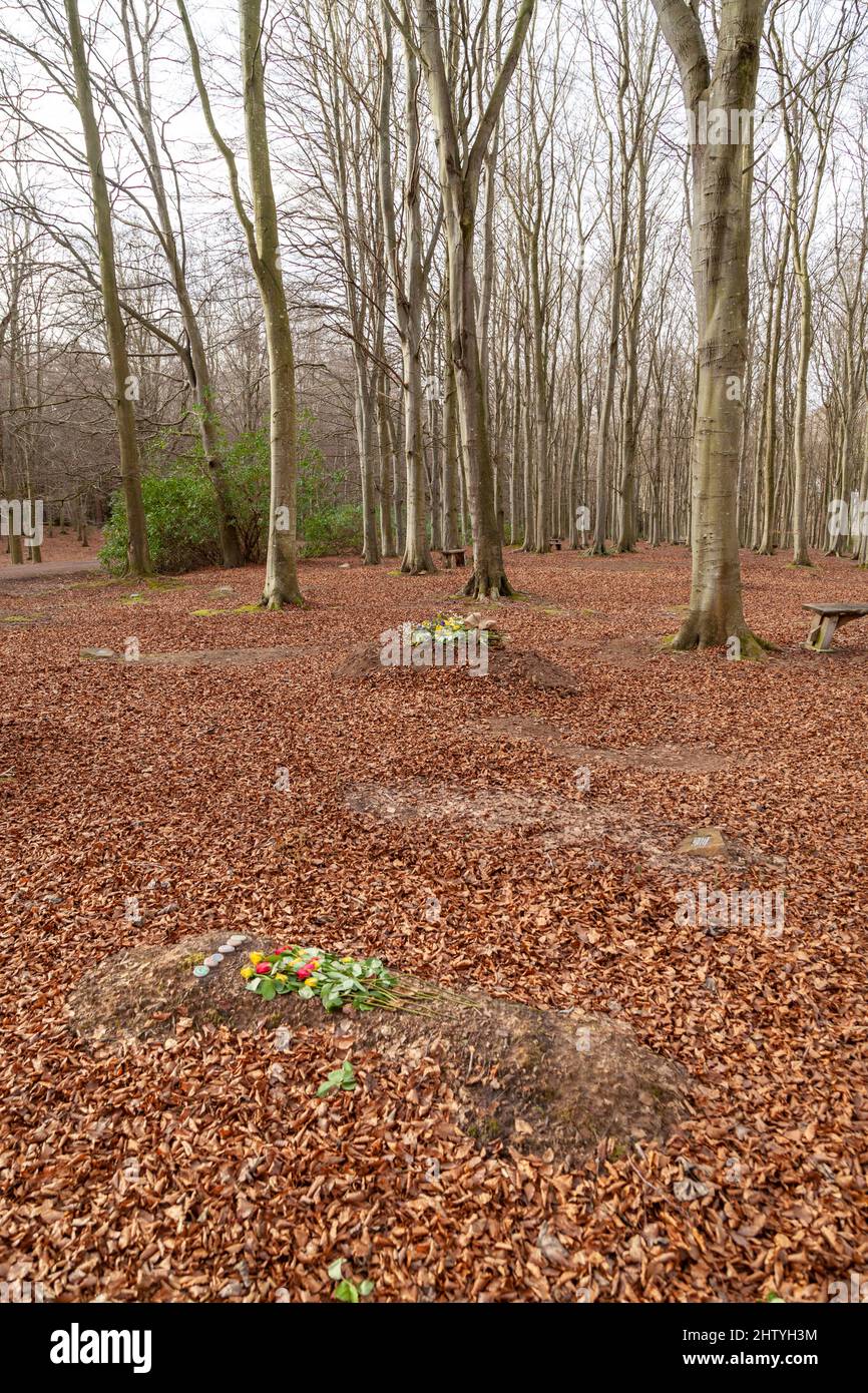 Binning Holz Stockfotos und -bilder Kaufen - Alamy