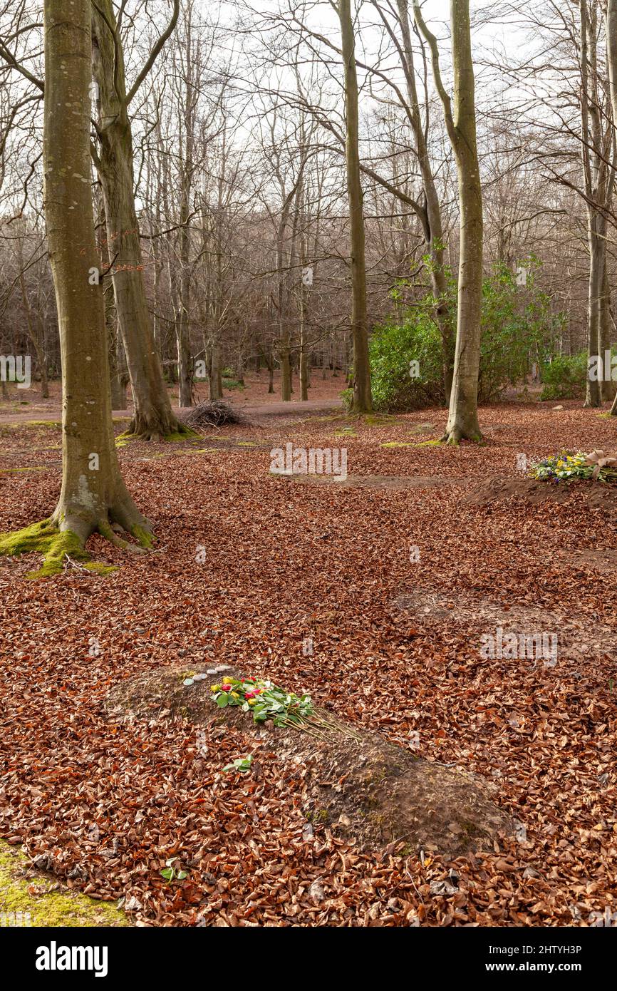 Binning Holz Stockfotos und -bilder Kaufen - Alamy