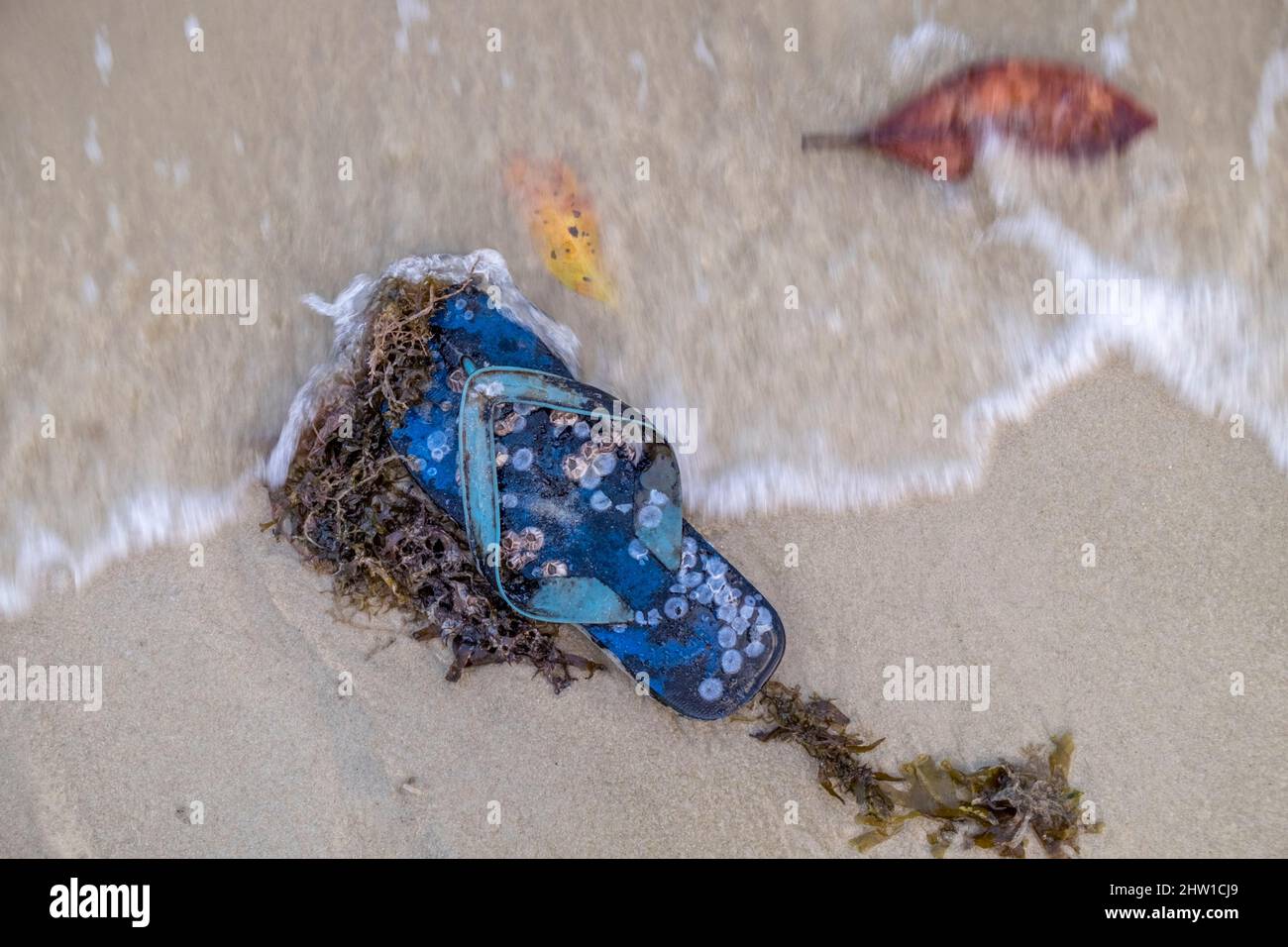 Guinee Bissau, Verschmutzung der Strände des Archipels der Bijagos ...