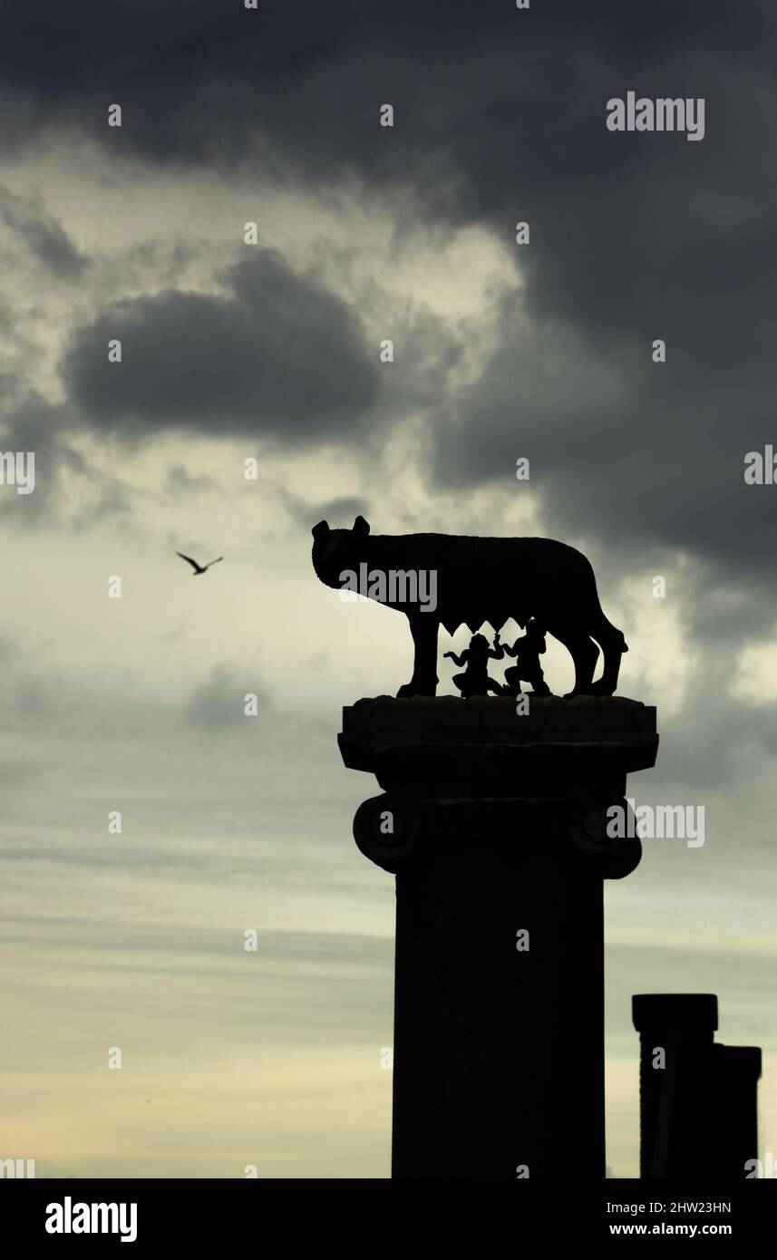 Lupa roma -Fotos und -Bildmaterial in hoher Auflösung – Alamy