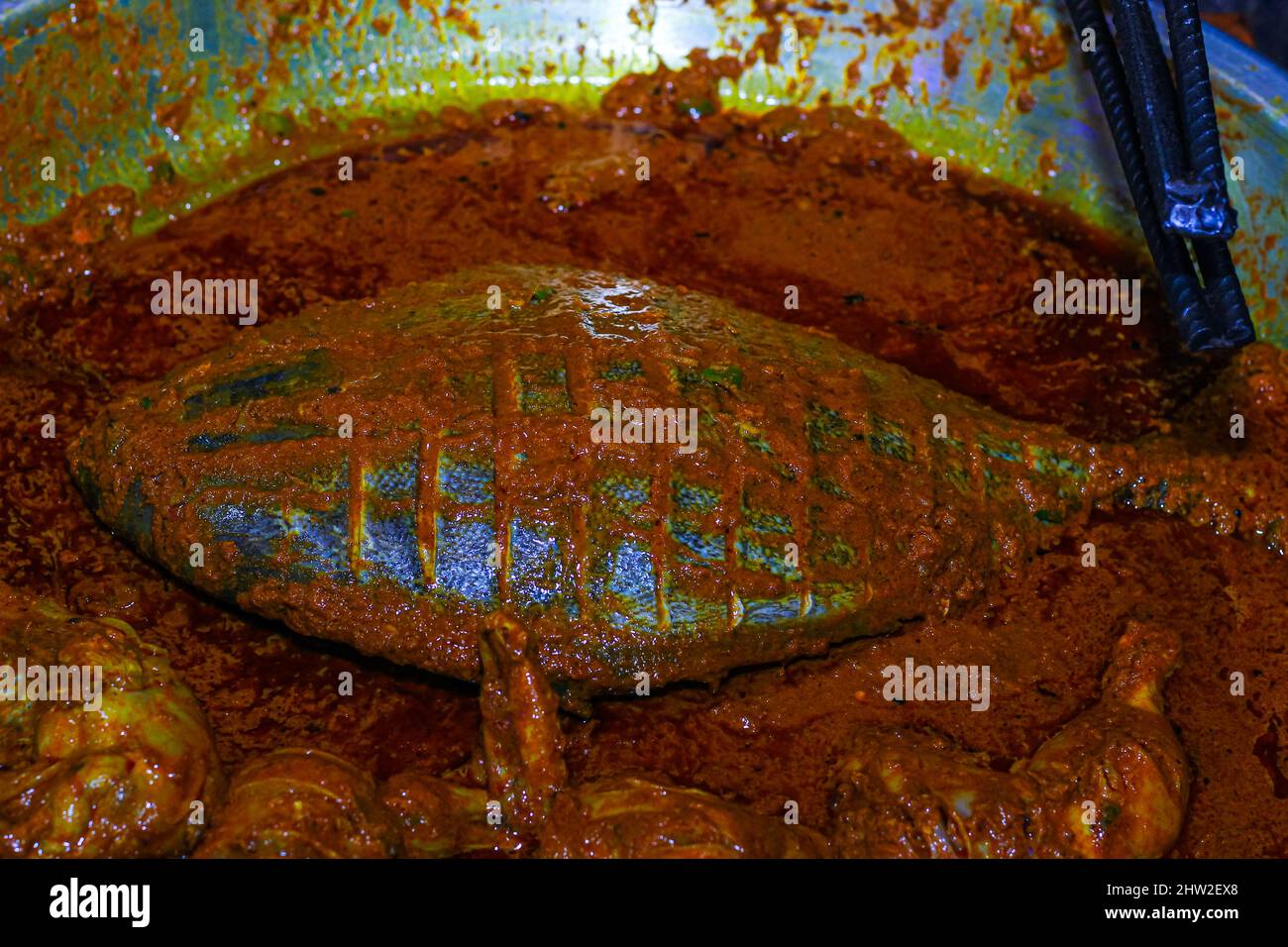 Fische sortieren -Fotos und -Bildmaterial in hoher Auflösung – Alamy