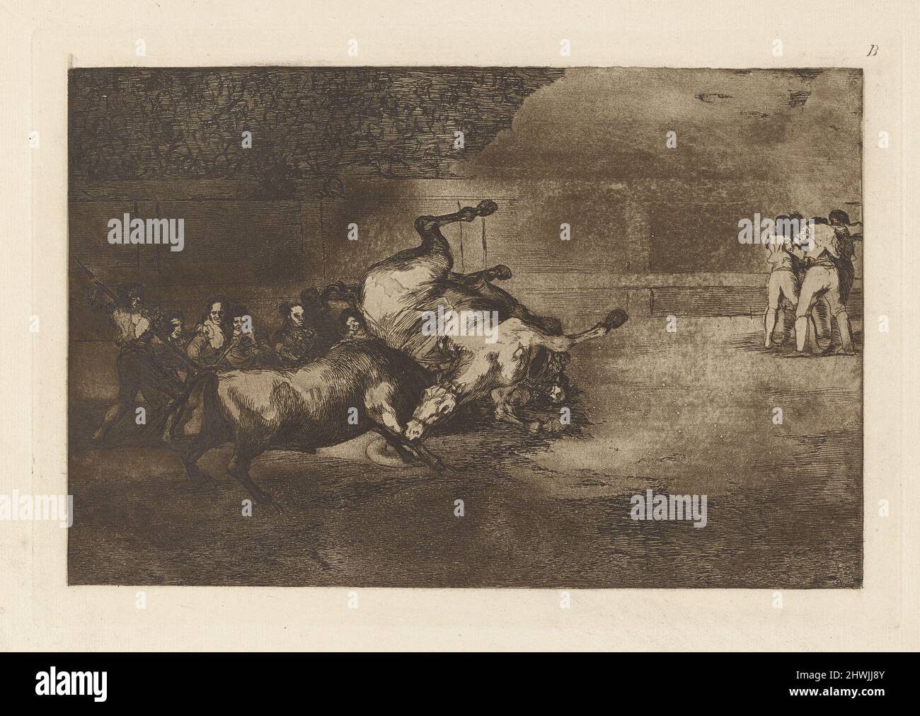 Bull cheval renverse par -Fotos und -Bildmaterial in hoher Auflösung ...