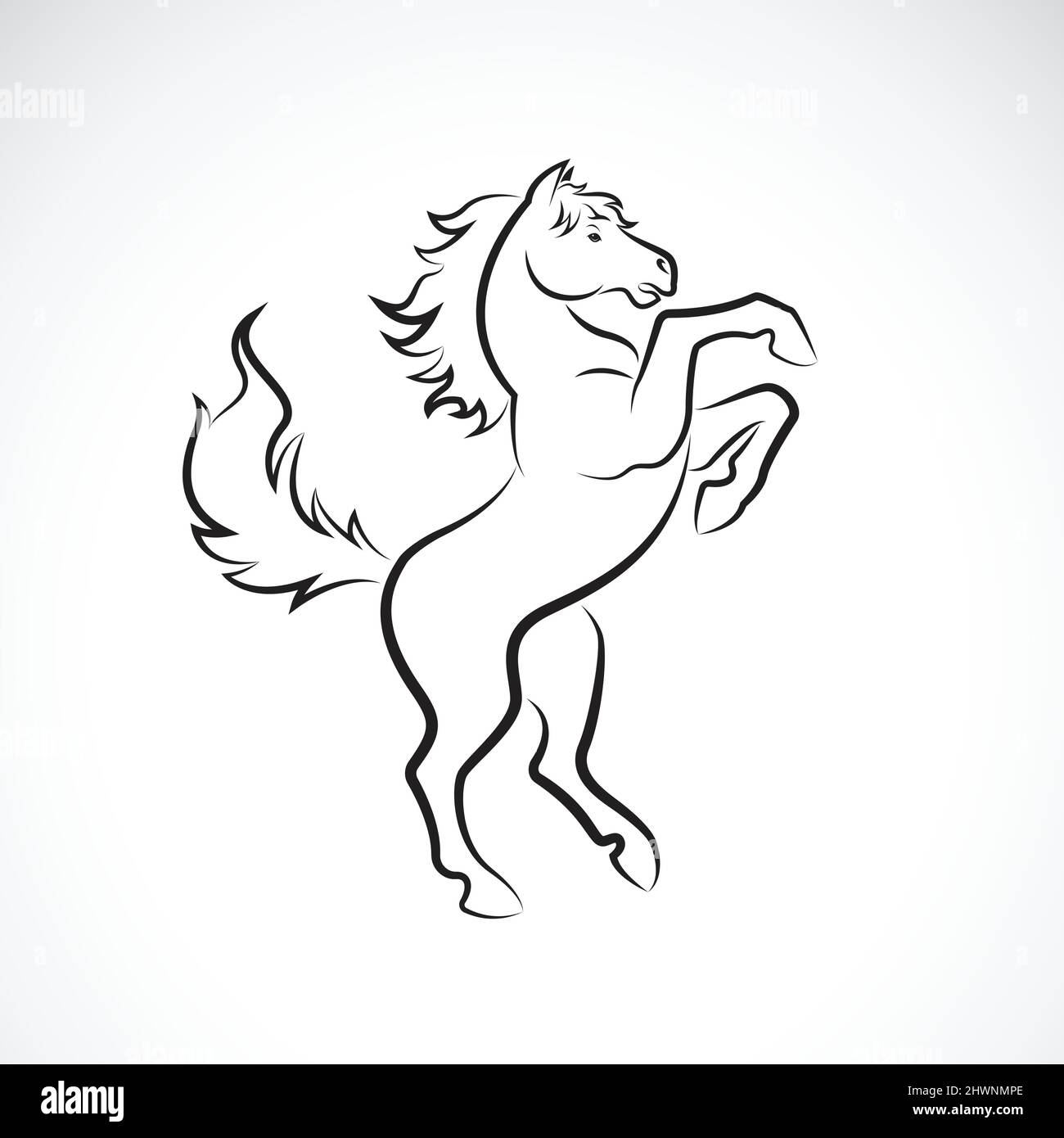 Pferde logo Stock-Vektorgrafiken kaufen - Alamy