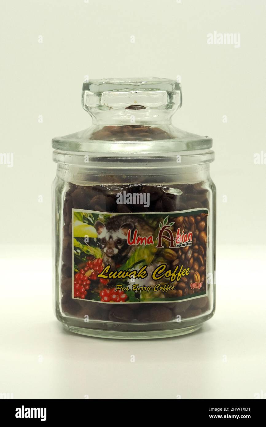 Kaffee zibet -Fotos und -Bildmaterial in hoher Auflösung – Alamy