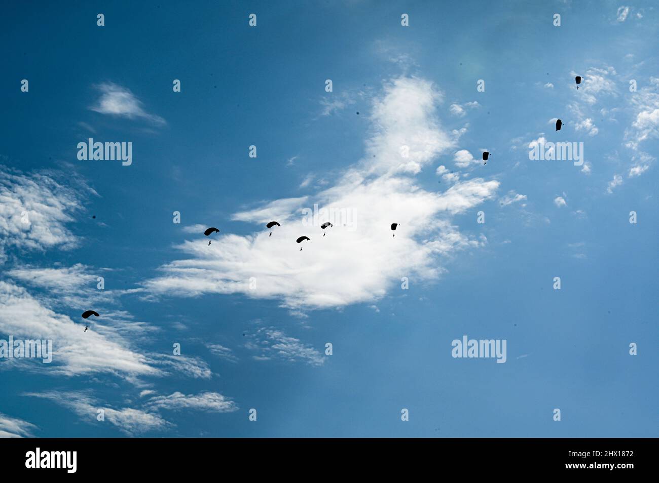 US Army Green Berets, die der 3. Special Forces Group (Airborne ...