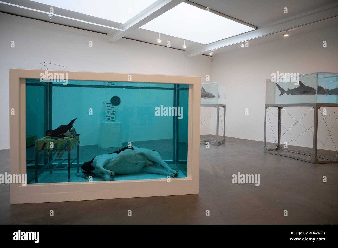 Beheading block -Fotos und -Bildmaterial in hoher Auflösung – Alamy