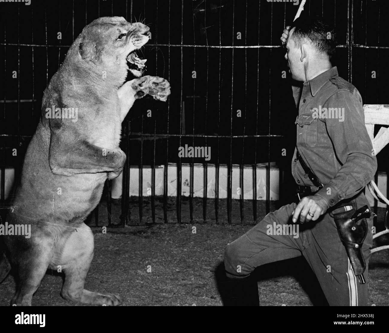 Terrell jacobs zirkus -Fotos und -Bildmaterial in hoher Auflösung – Alamy