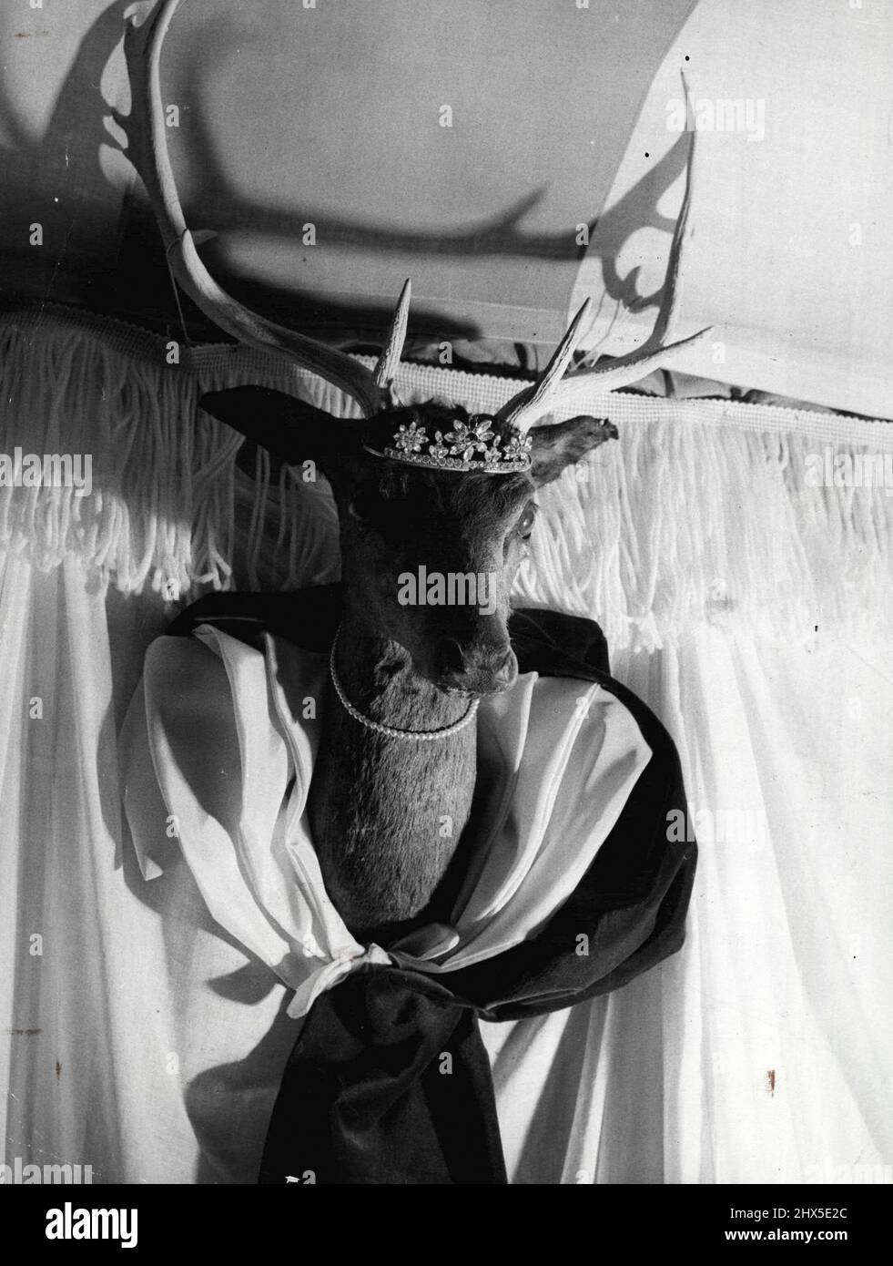 Traurige, strahlende Augen, die einst das tal mit gekrönter Stirn ...