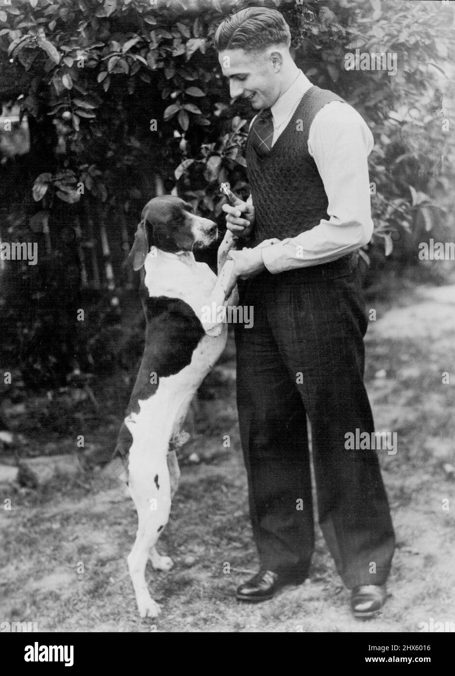 Dieser Pup wird seinen Meister, Trevor Allan, den jungen Vizekapitän ...