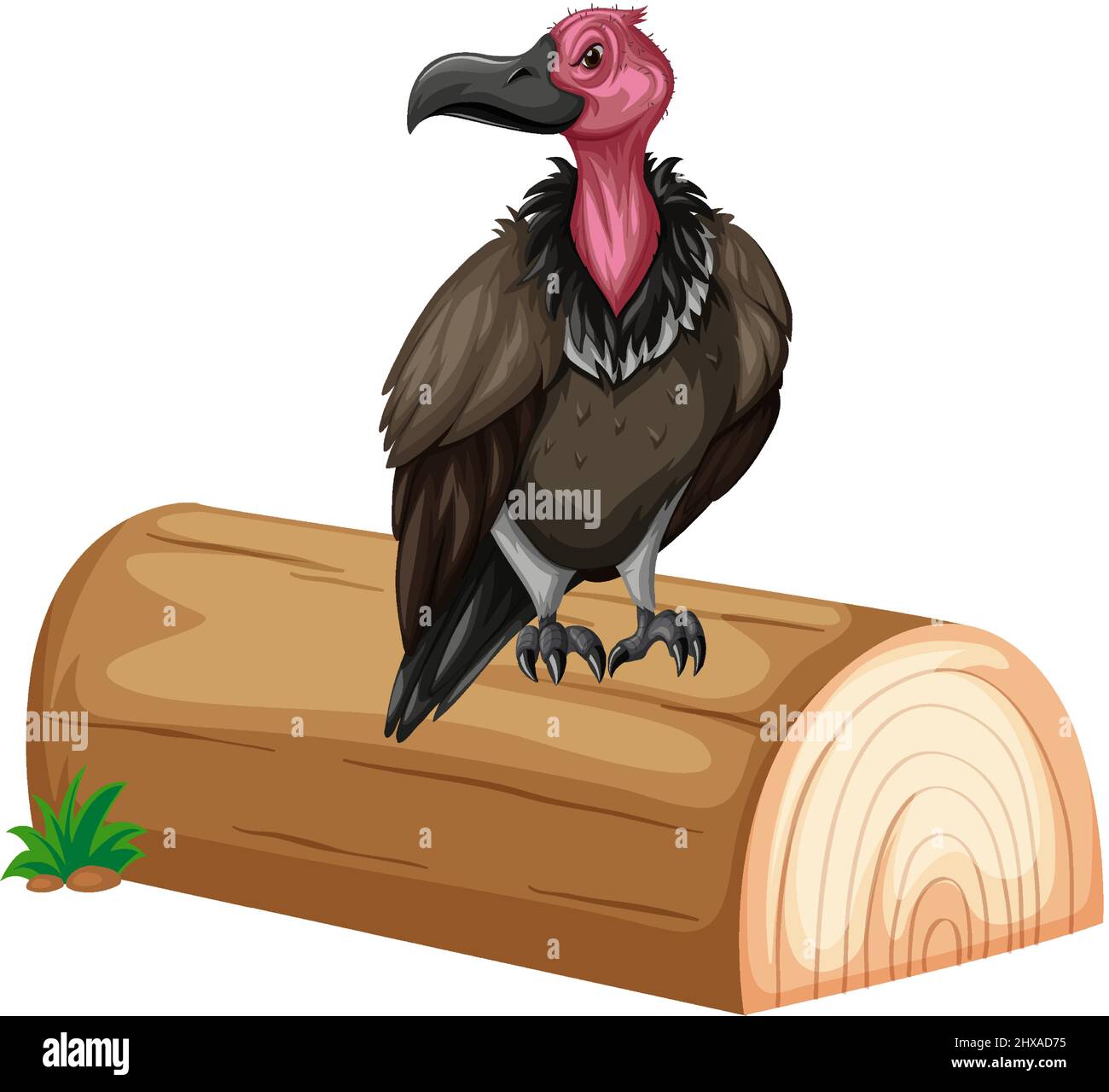 Afrikanische geier fliegen Stock-Vektorgrafiken kaufen - Alamy