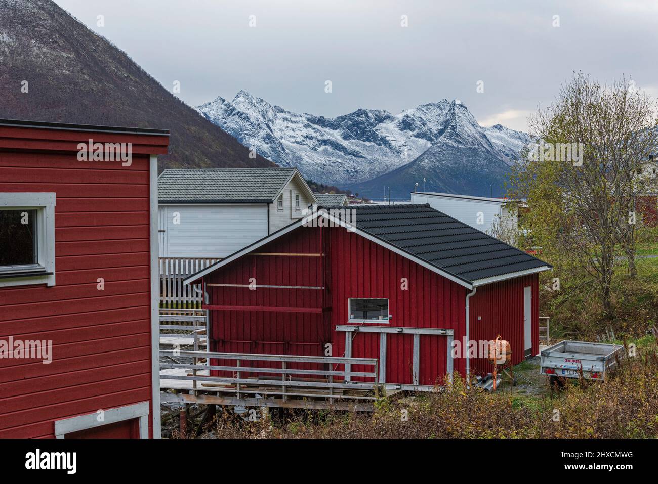 Herbsteindrücke von der norwegischen Insel Senja über dem Polarkreis ...