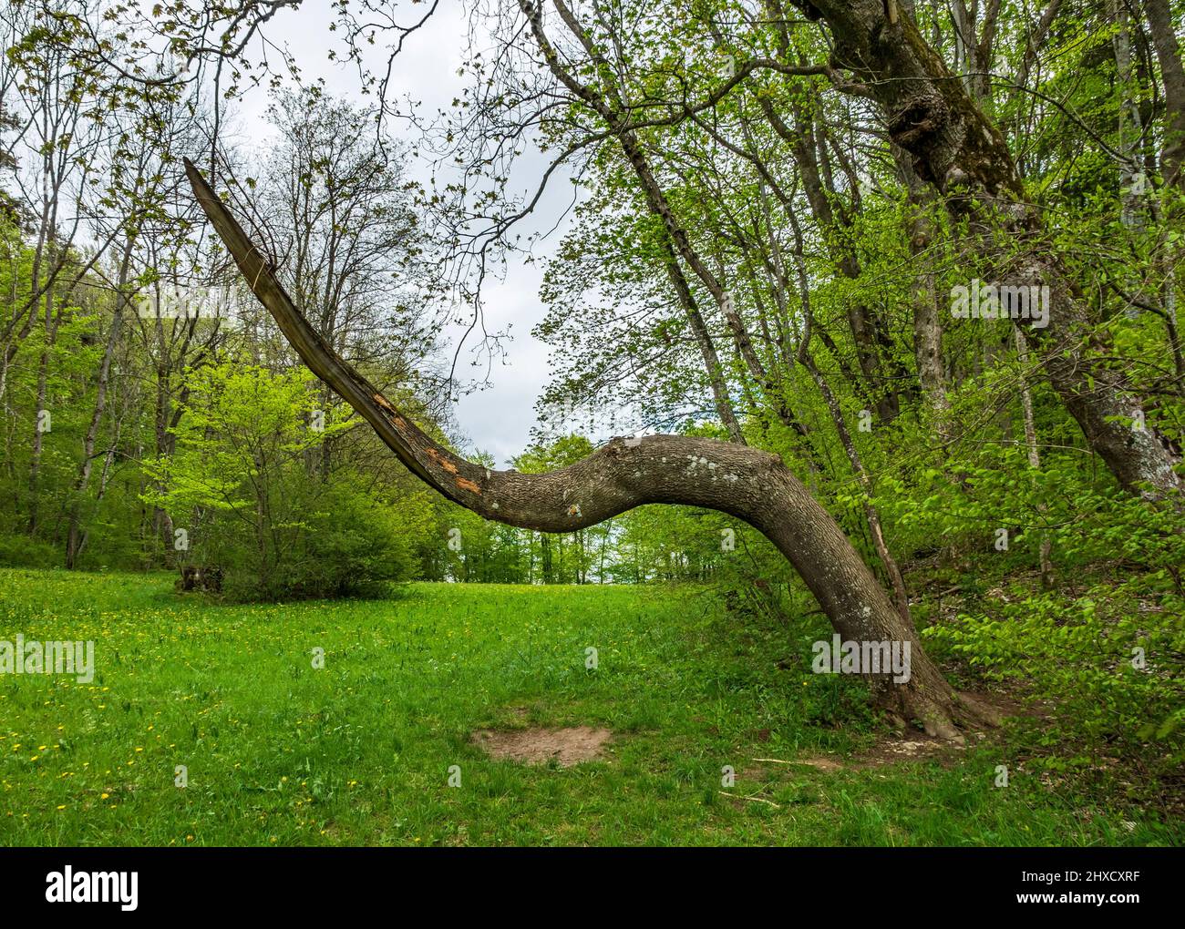 Gebrochene grenze -Fotos und -Bildmaterial in hoher Auflösung – Alamy