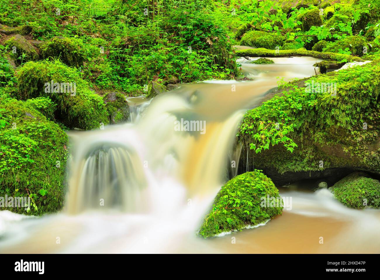 Wasserfall im monbachtal -Fotos und -Bildmaterial in hoher Auflösung ...