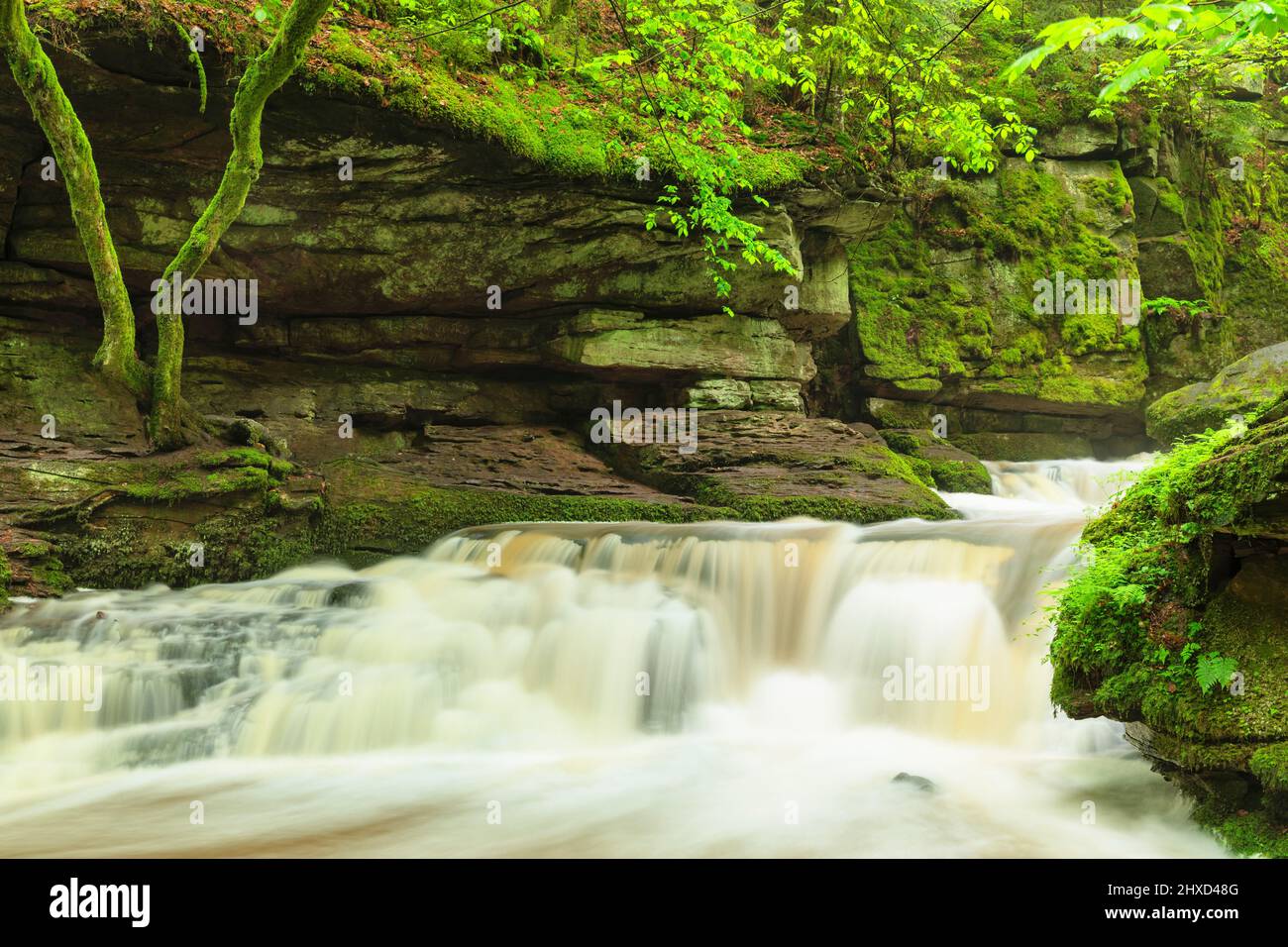 Wasserfall im monbachtal -Fotos und -Bildmaterial in hoher Auflösung ...