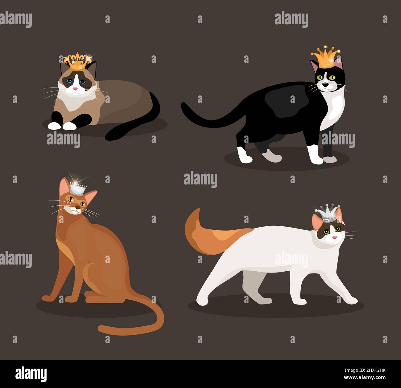 Set von vier Katzen mit Kronen mit verschiedenfarbigen Fell Eine ...