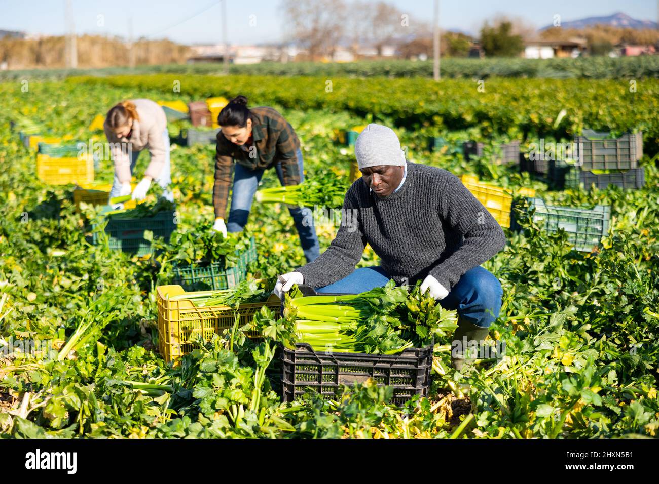Kamerunische frau -Fotos und -Bildmaterial in hoher Auflösung – Alamy