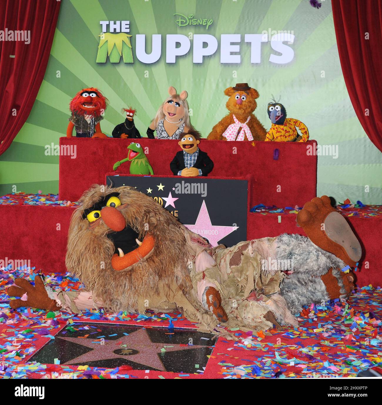 Die Muppets, Tier, Pepe, Miss Piggy, Fozzie, Gonzo, Kermit, Walter und ...