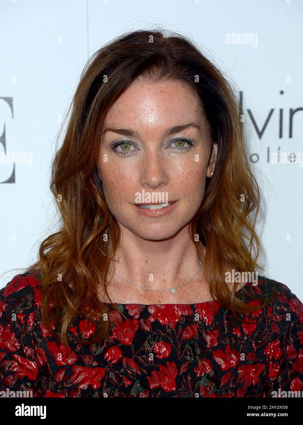 Julianne Nicholson