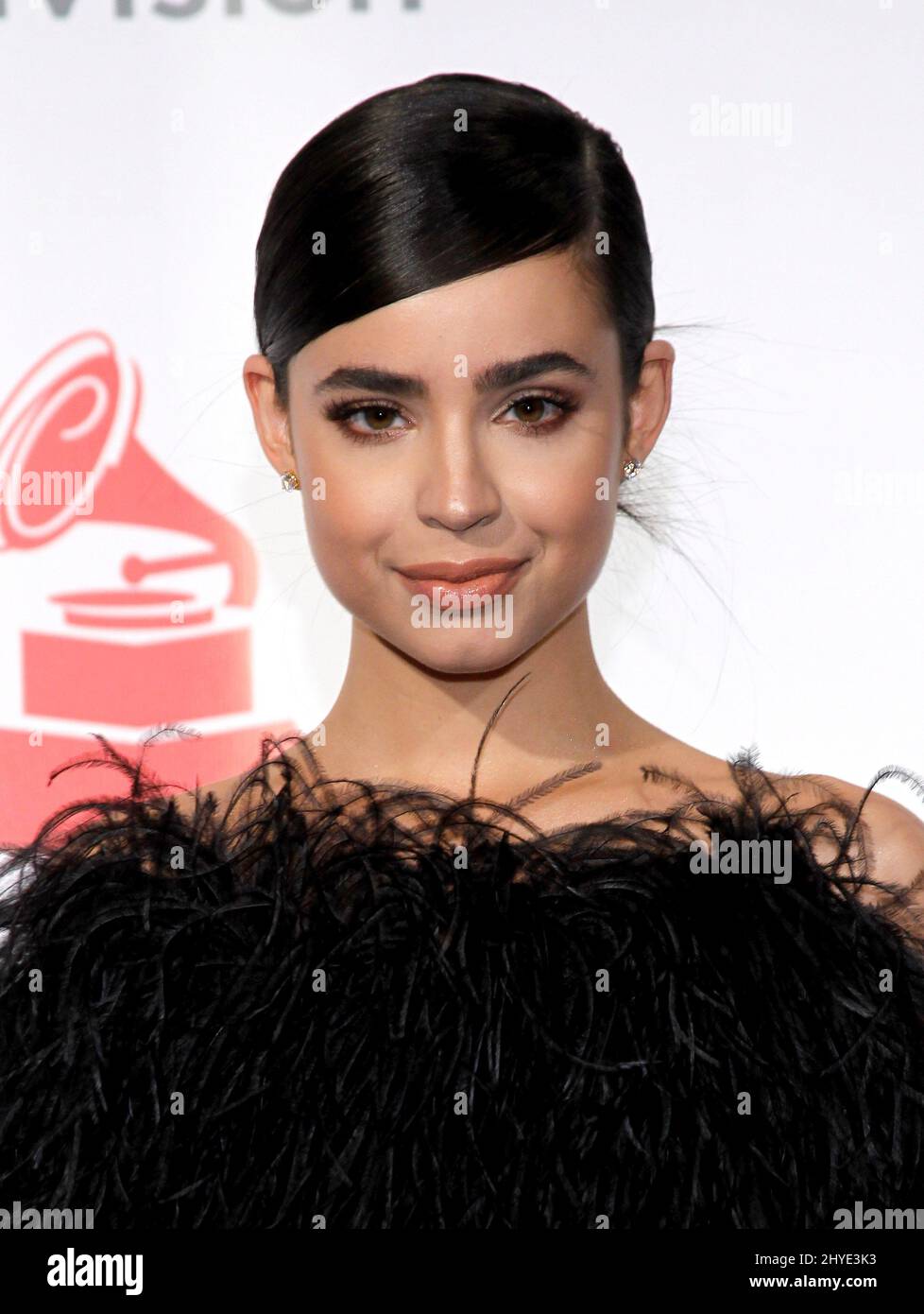 Sofia carson rein -Fotos und -Bildmaterial in hoher Auflösung – Alamy