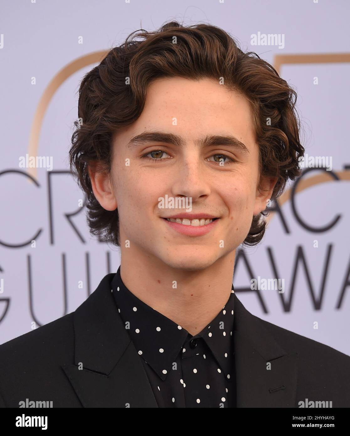Die schauspieler timothee chalamet -Fotos und -Bildmaterial in hoher ...