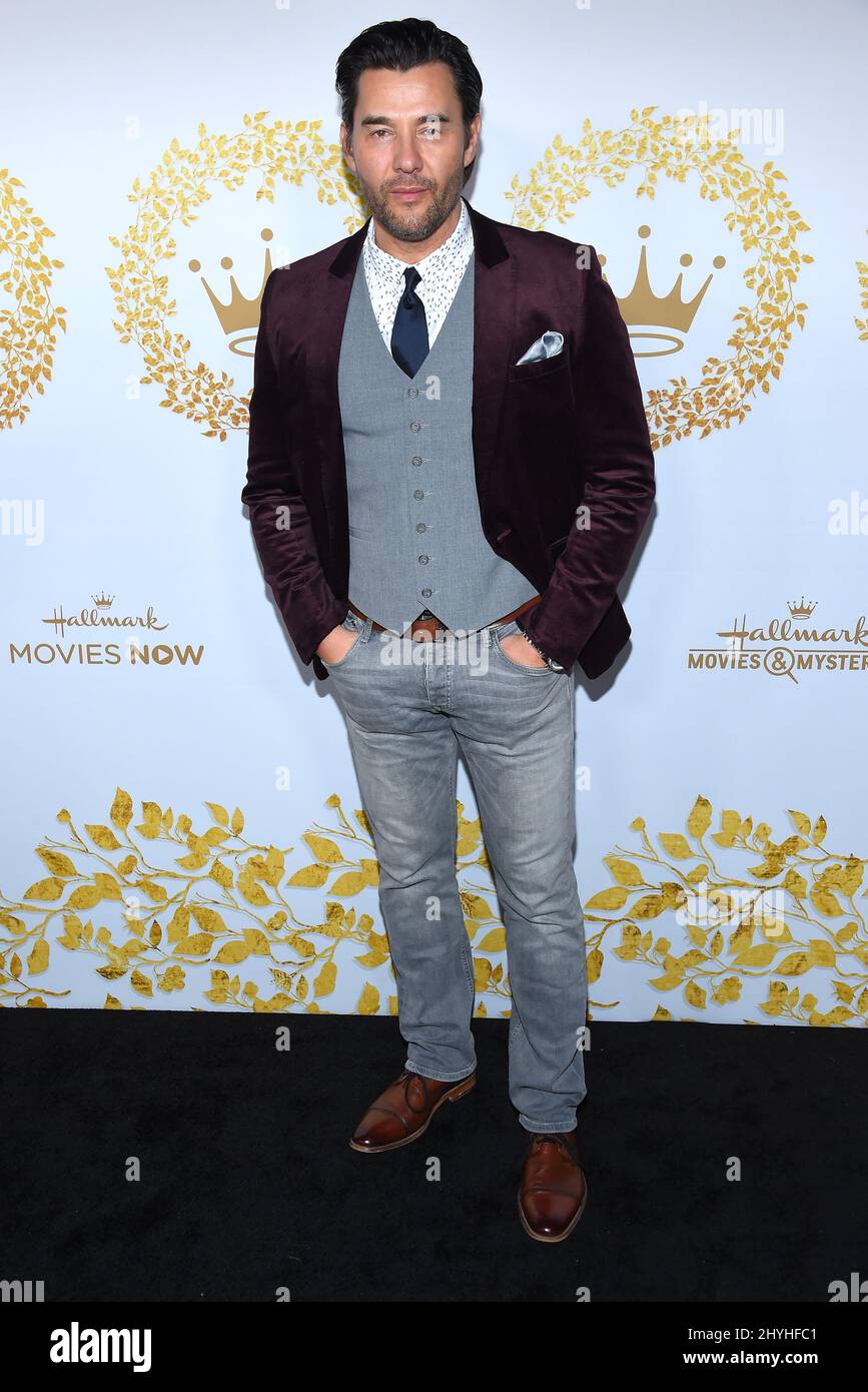 Steve Bacic beim Hallmark Channel und beim Hallmark Movies & Mysteries ...