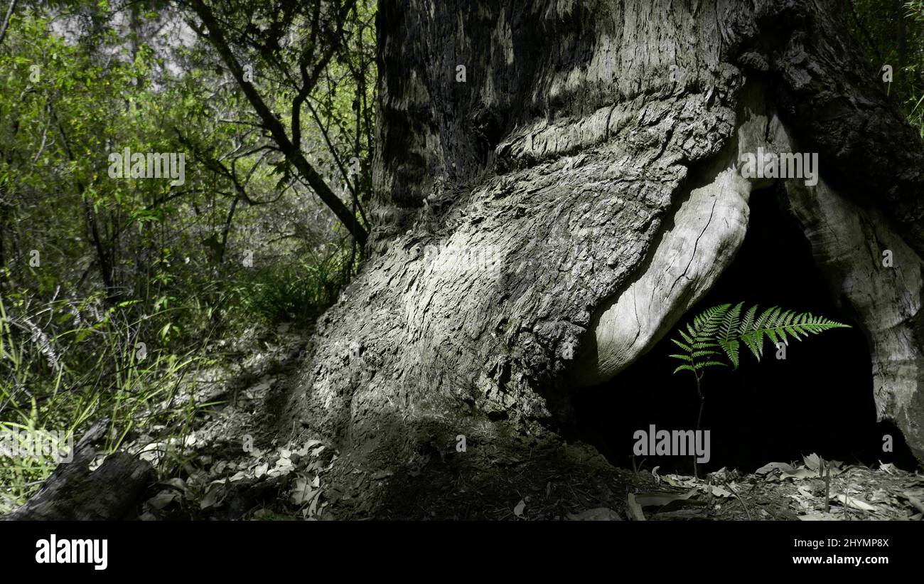Eine mulde in der erde -Fotos und -Bildmaterial in hoher Auflösung – Alamy