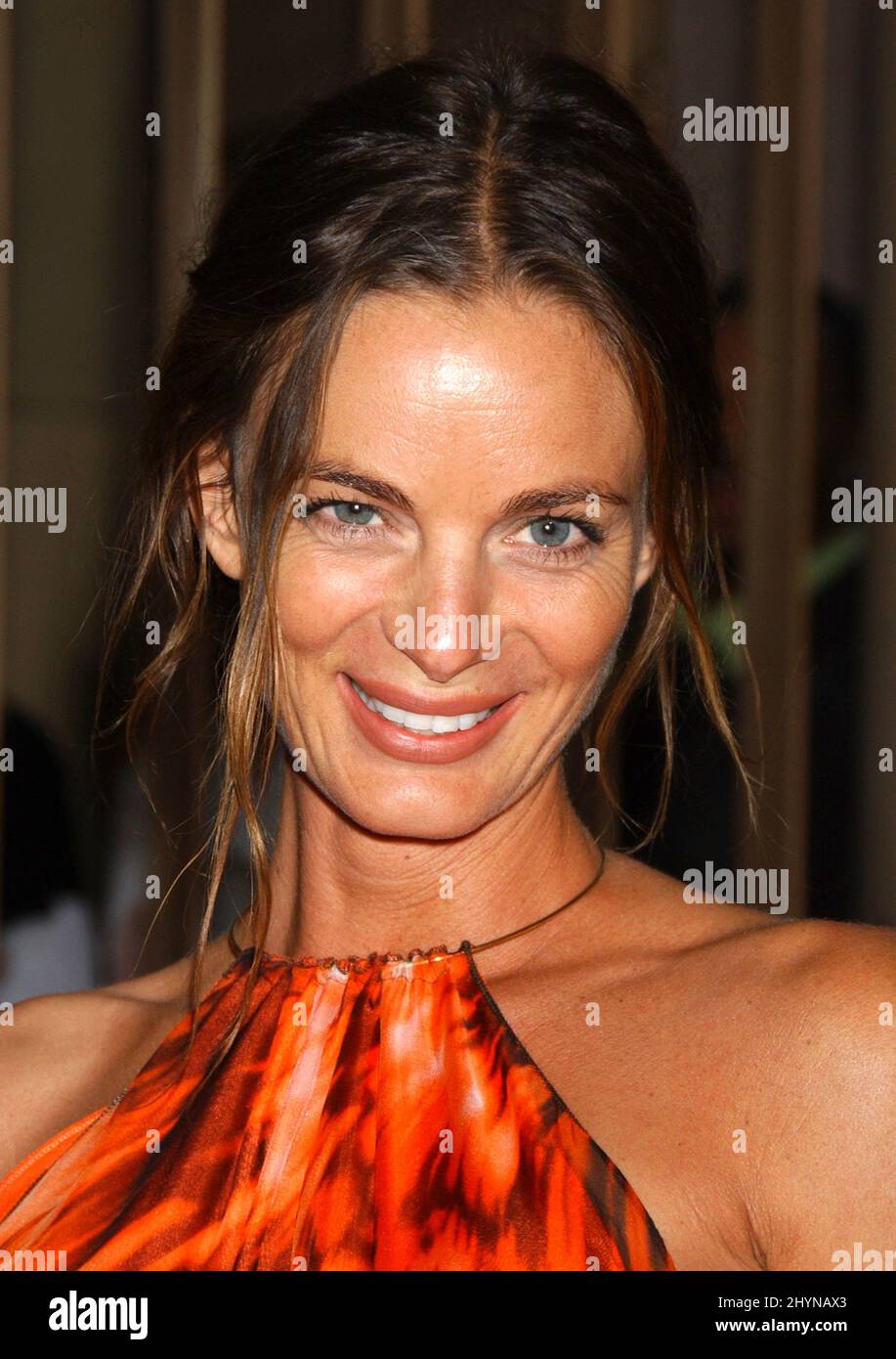 Gabrielle Anwar Tudors