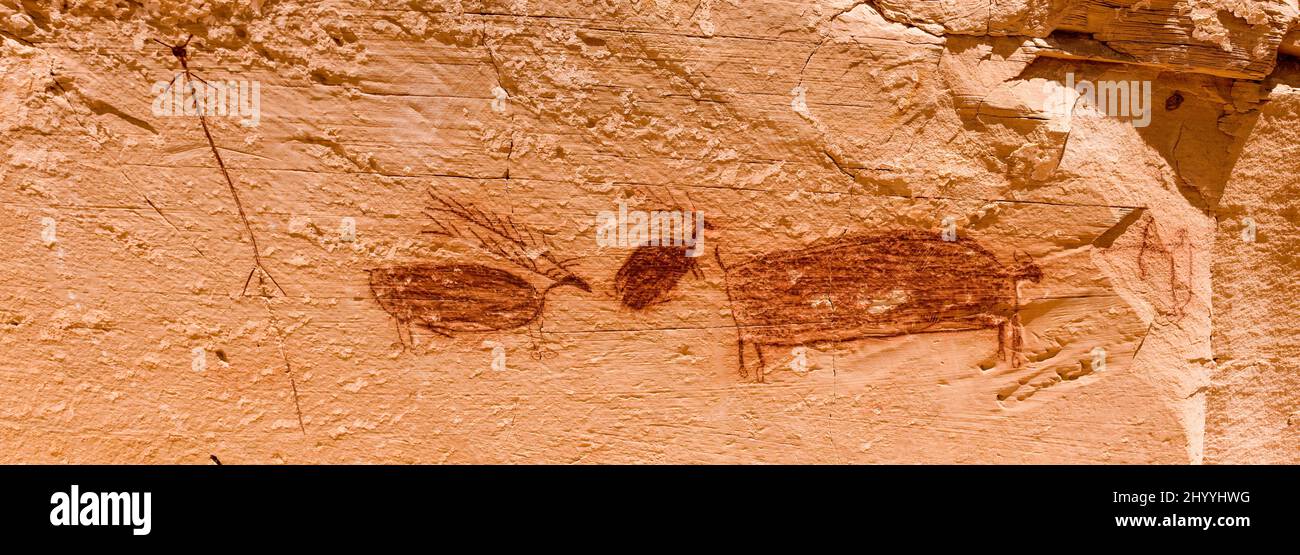 1000 Jahre alte Piktogramme im Fremont-Stil von Elch, einem Bison und ...