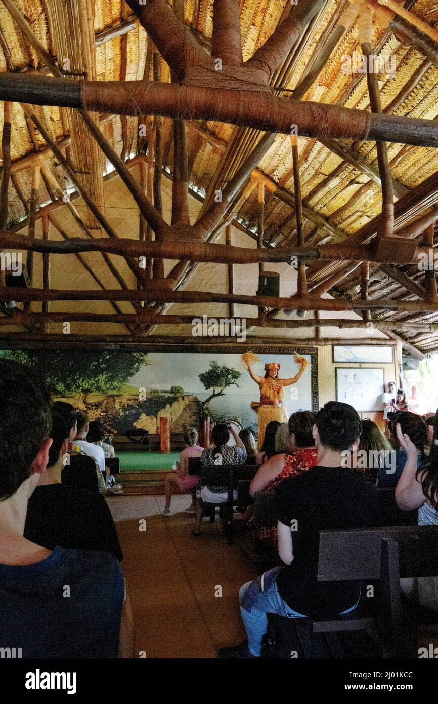 Polynesisches haus -Fotos und -Bildmaterial in hoher Auflösung – Alamy