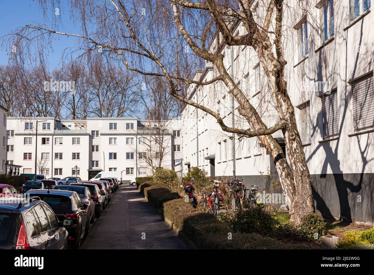 Wilhelm riphan -Fotos und -Bildmaterial in hoher Auflösung – Alamy