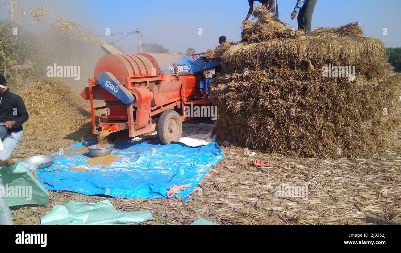 Mähmaschine getreide -Fotos und -Bildmaterial in hoher Auflösung – Alamy