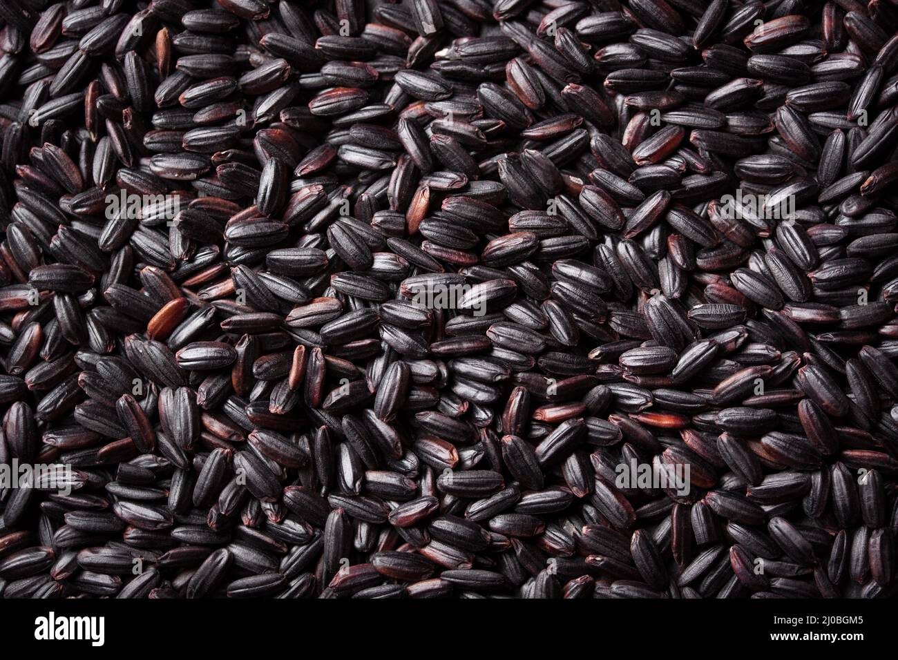 Trockener wildreis -Fotos und -Bildmaterial in hoher Auflösung – Alamy