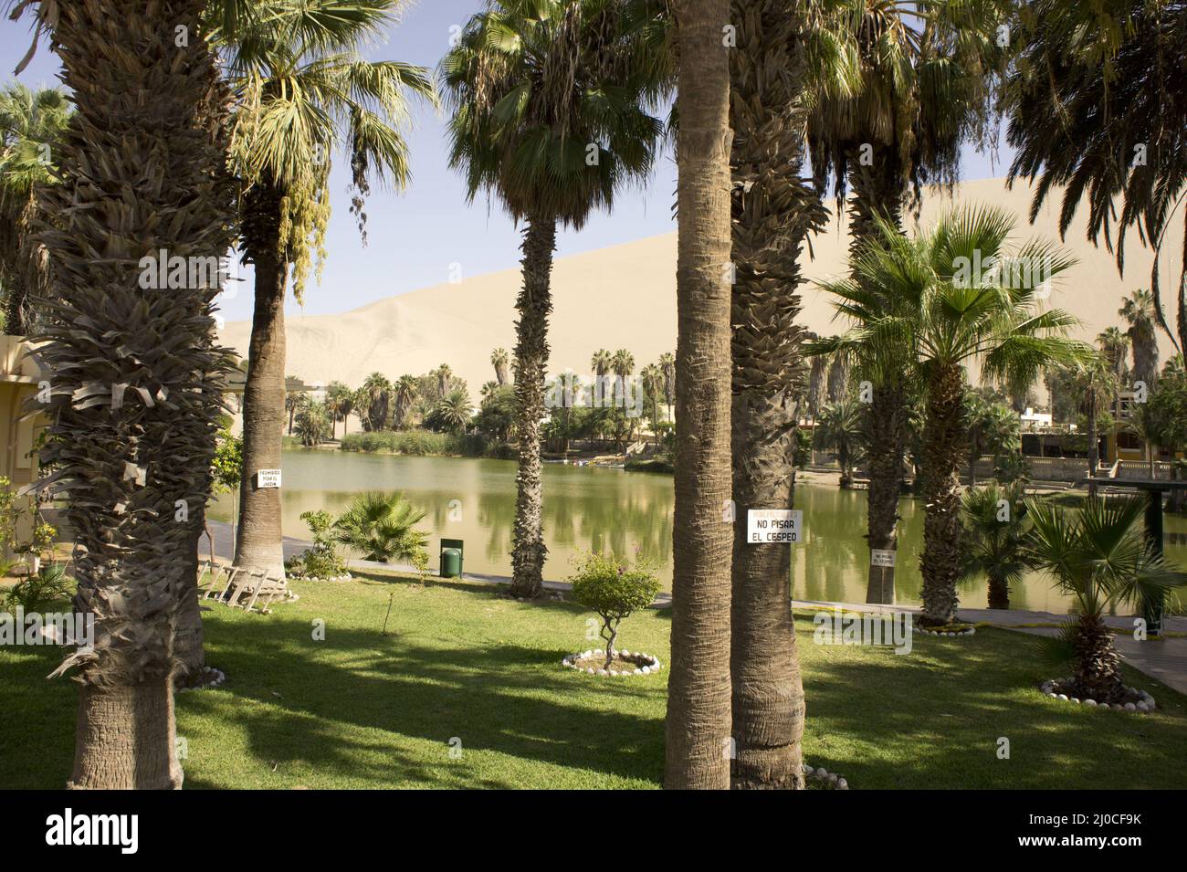 Huacachina peru oase -Fotos und -Bildmaterial in hoher Auflösung – Alamy