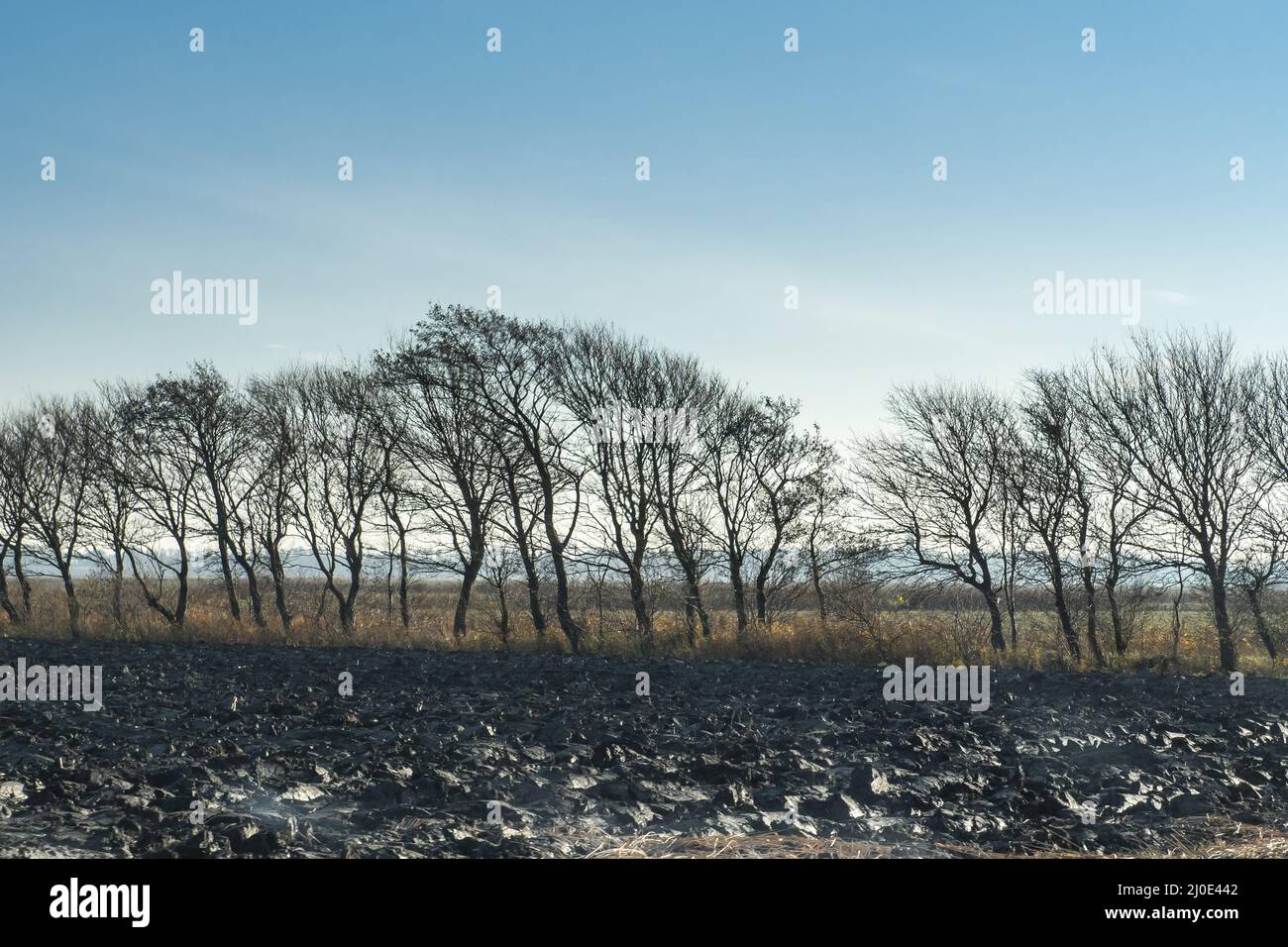 Landwirtschaftliche felder mit bäumen -Fotos und -Bildmaterial in hoher Auflösung - Seite 3 - Alamy