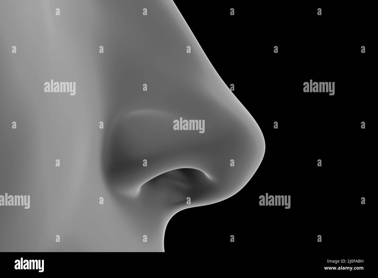 Nase anatomie Schwarzweiß-Stockfotos und -bilder - Alamy