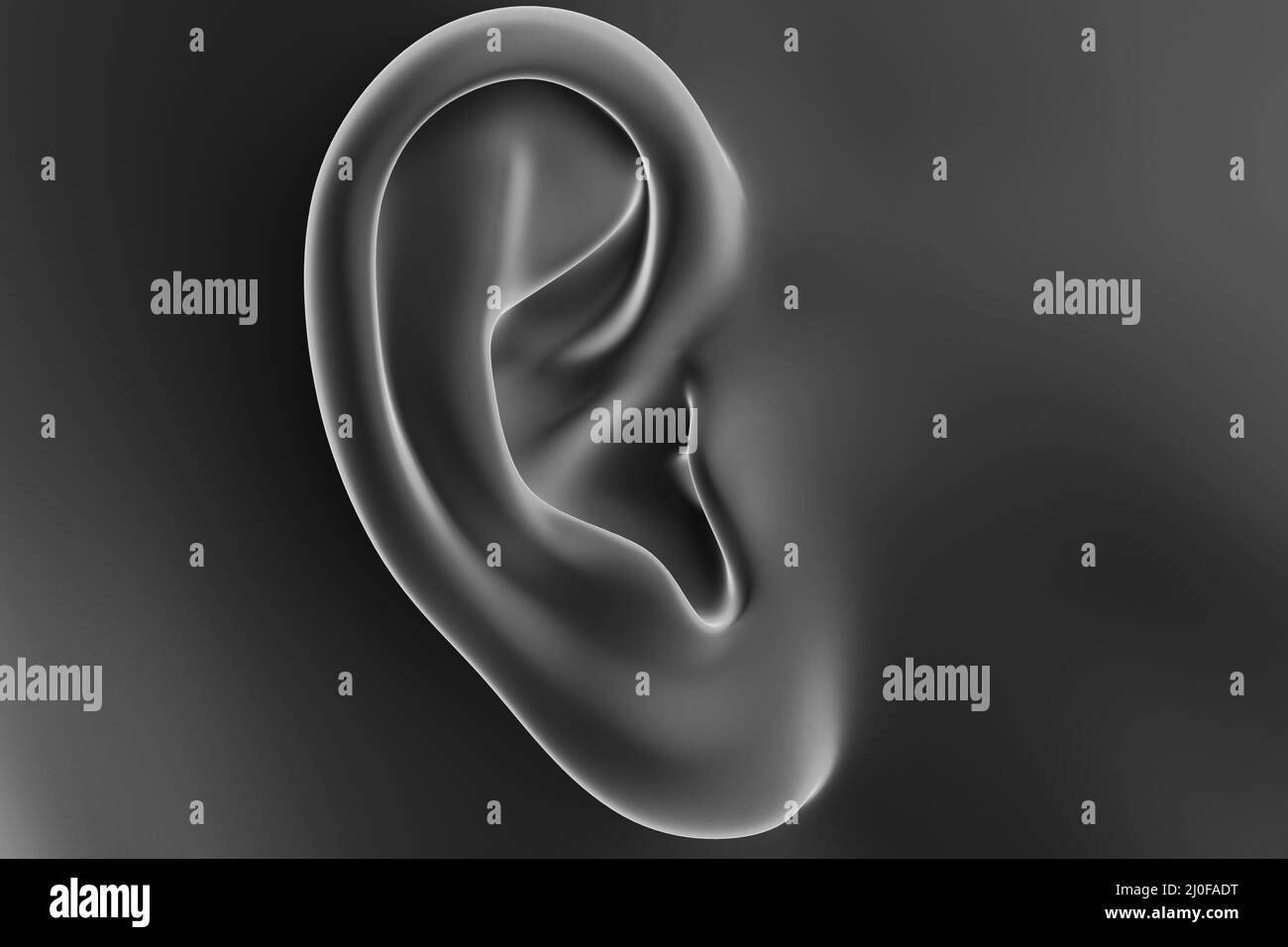 Ohr anatomie Schwarzweiß-Stockfotos und -bilder - Seite 2 - Alamy