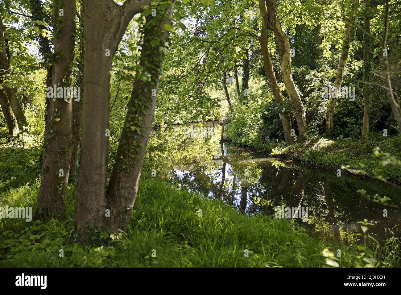 Deutschland fluss erft -Fotos und -Bildmaterial in hoher Auflösung – Alamy