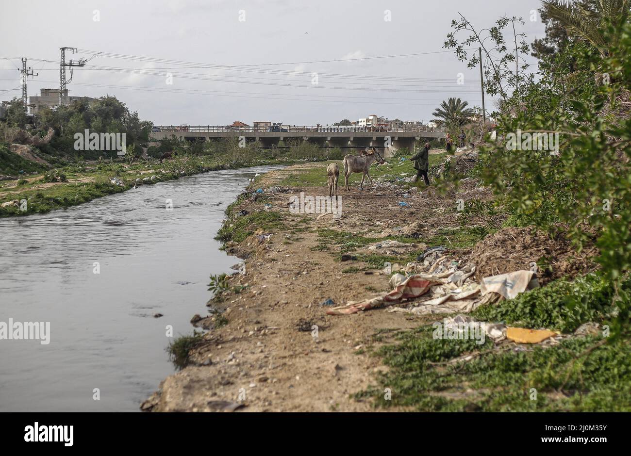 Wadi gaza -Fotos und -Bildmaterial in hoher Auflösung – Alamy