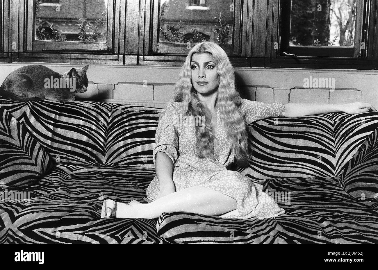 Lynsey de paul -Fotos und -Bildmaterial in hoher Auflösung – Alamy
