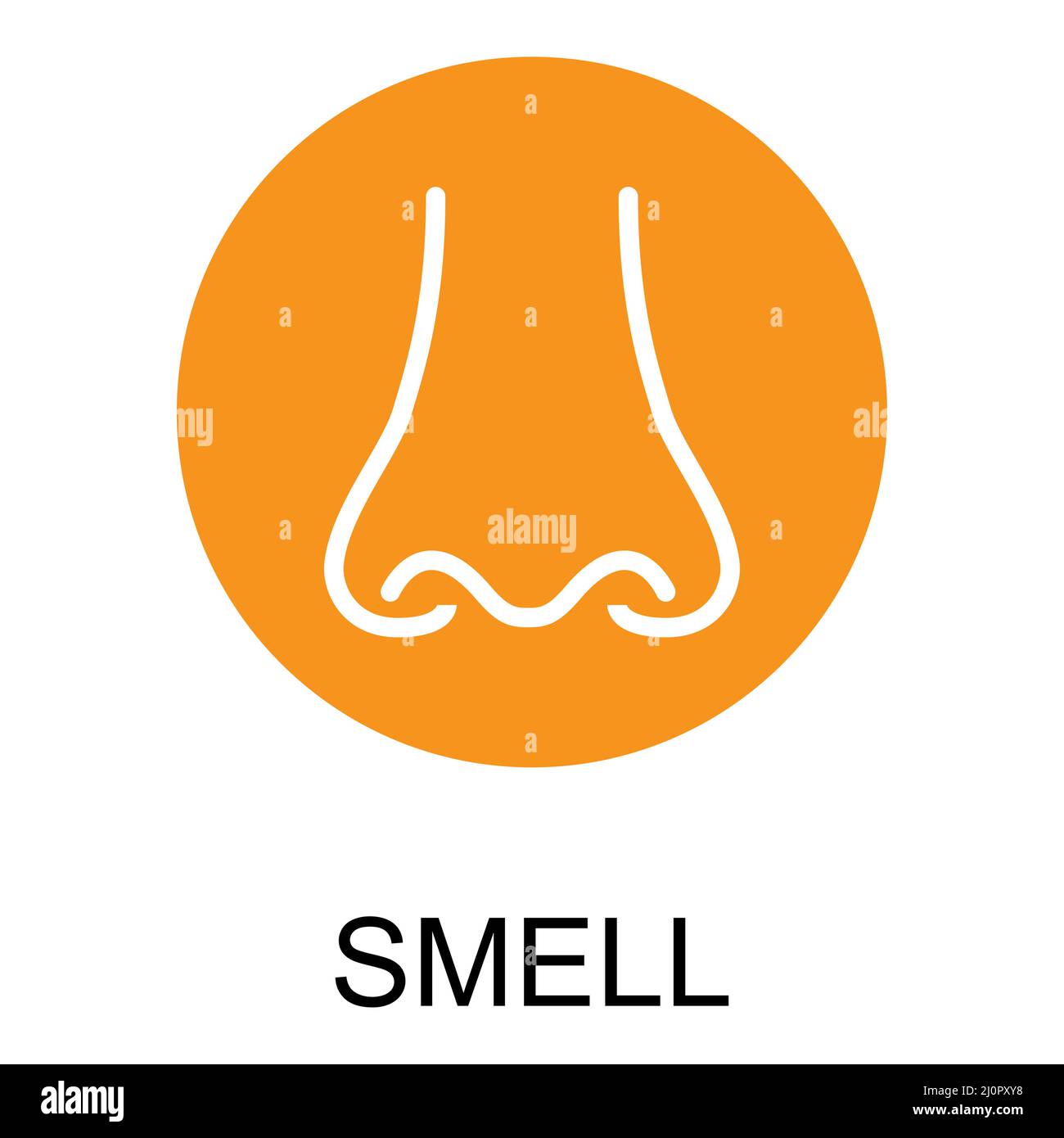 Menschliche Anatomie flache Nase Symbol, Geruch Gesundheit Organ Vektor ...