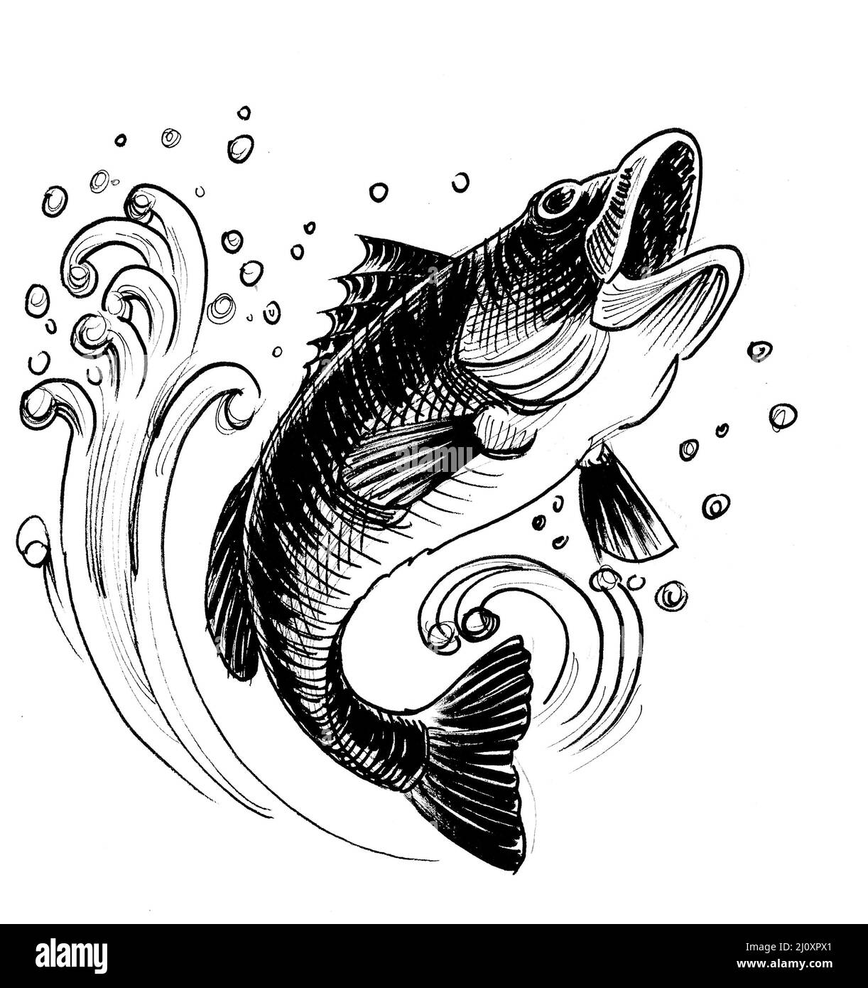 Springender Fisch. Tinte schwarz-weiß Zeichnung Stockfotografie - Alamy
