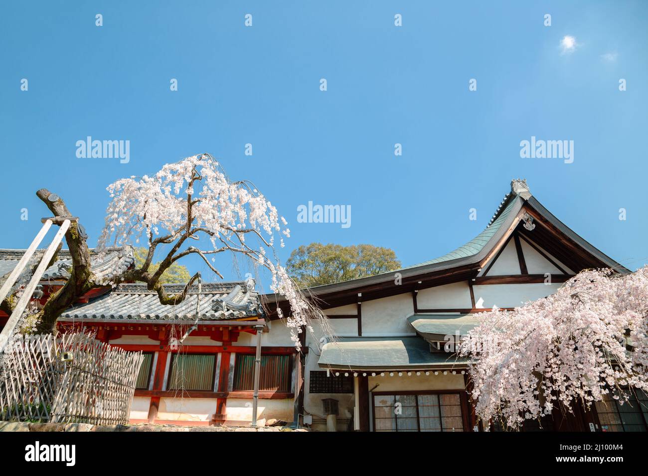 Himuro shrine -Fotos und -Bildmaterial in hoher Auflösung – Alamy