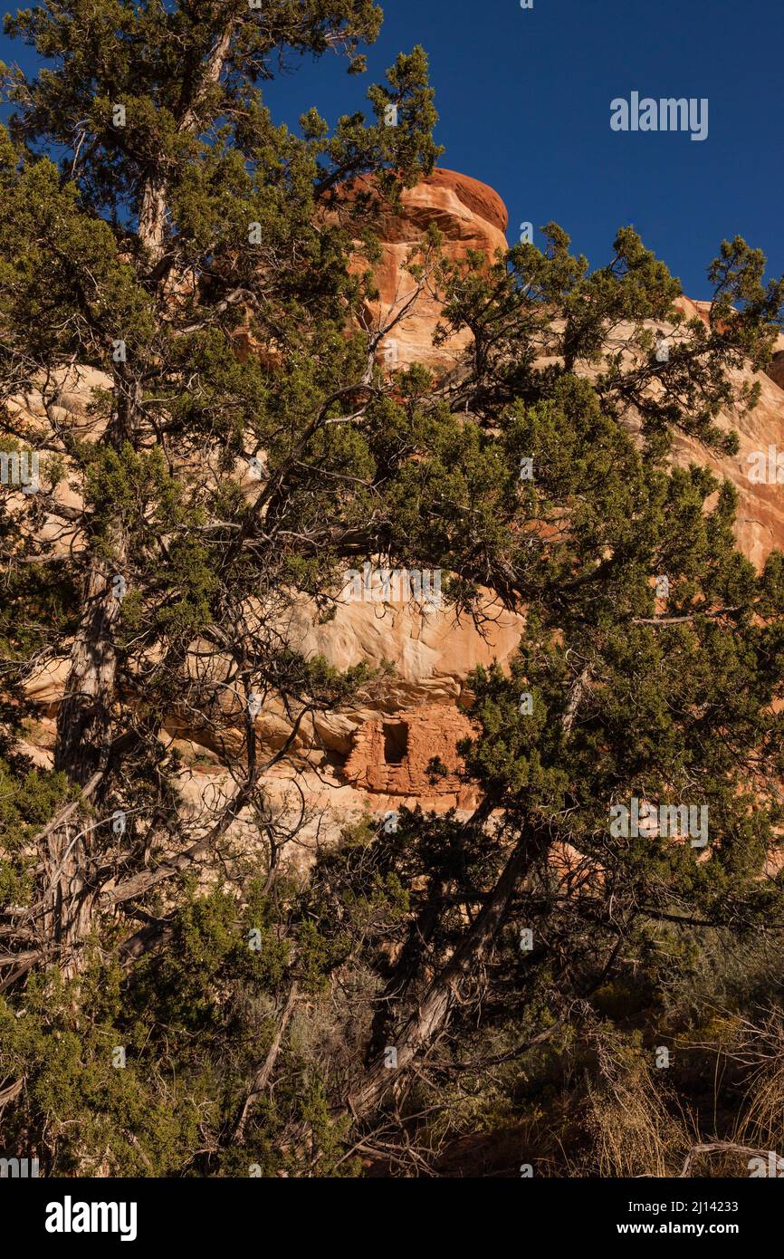 Eine alte, 1.000 Jahre alte Ancestral Puebloan Klippe, eingerahmt von ...