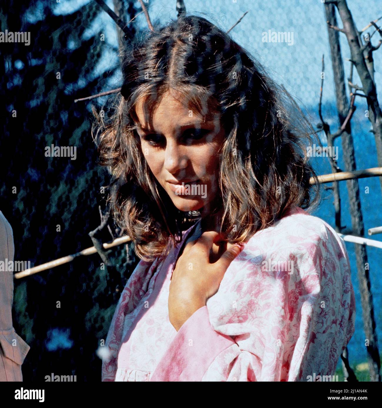 Die Ameisen kommen, aka Gauner, Gangster und Ganoven, Spielfilm ...