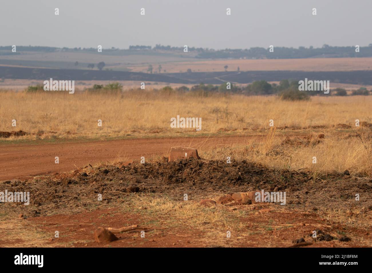 Dung midden -Fotos und -Bildmaterial in hoher Auflösung – Alamy